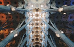 Barcelona by Chad Lighting | Design Insider