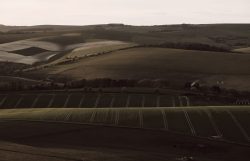 Planted Unearthed | Design Insider