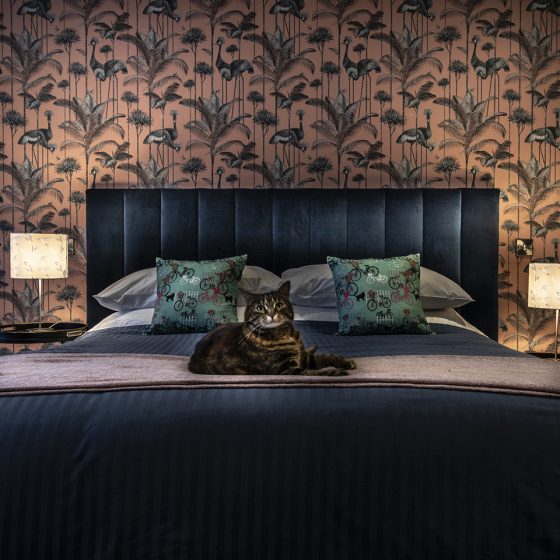 Edge Lit by Milliken | Design Insider