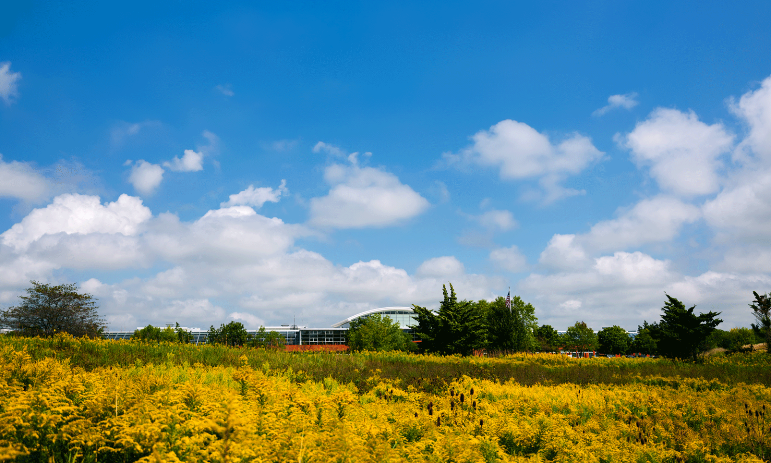 MillerKnoll Unveils New Sustainability Strategy and Issues 2024 Better ...